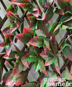 Artificial Hedge on Expanding Trellis - 2m x 1m "Red Robin" - Garden ...